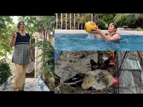 Iran village life /Swimming on a hot summer day/Rural lifestyle