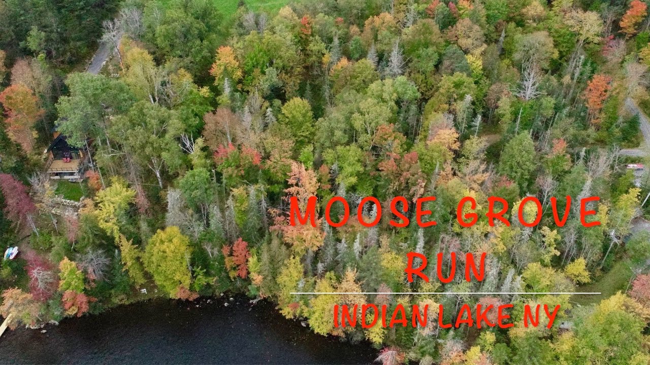 MOOSE GROVE RUN HD 1080p - YouTube