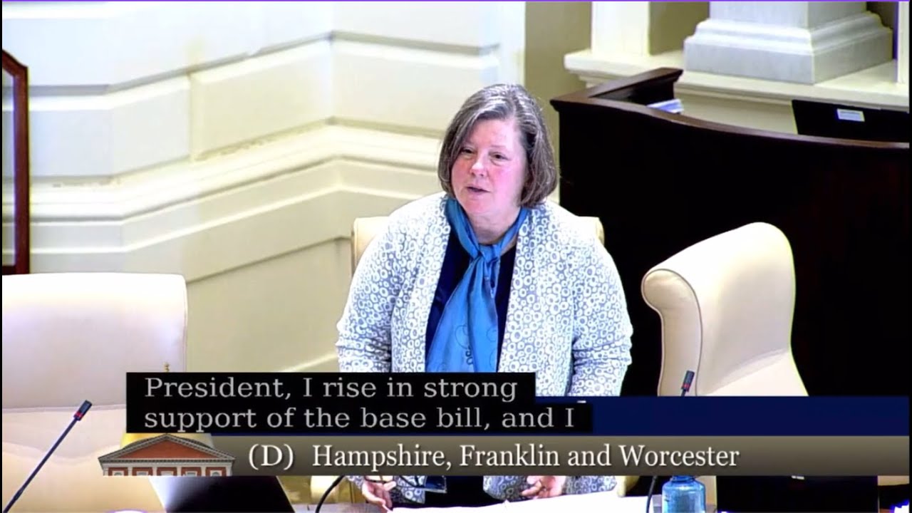 Senator Comerford speaks on early ed and care bill - YouTube