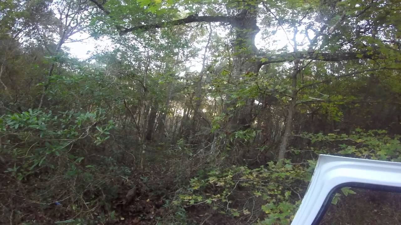 scouting mallory swamp part 2 serenity adventures - YouTube