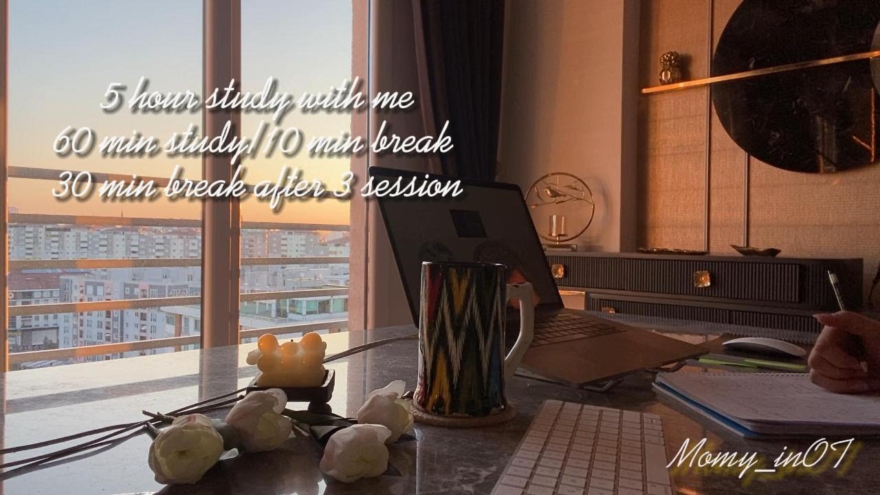 5 Hour study with me / Pomodoro technique _60 min study 10 min break ...