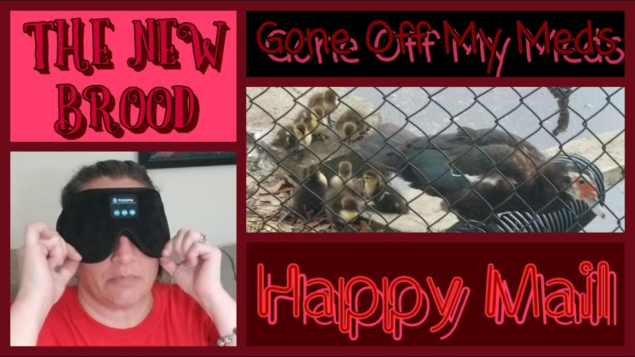 The New Brood ~ Happy Mail ~ GOMMTube #213 - YouTube