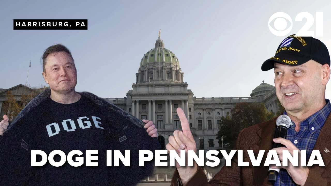 DOGE in PA: How one state senator's plan is different from Elon Musk's ...