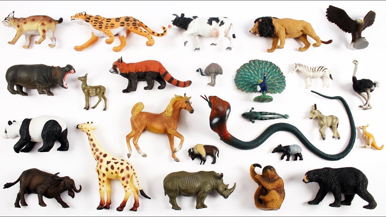 Learn Animals Names & Sounds for Kids + More Educational Videos - YouTube