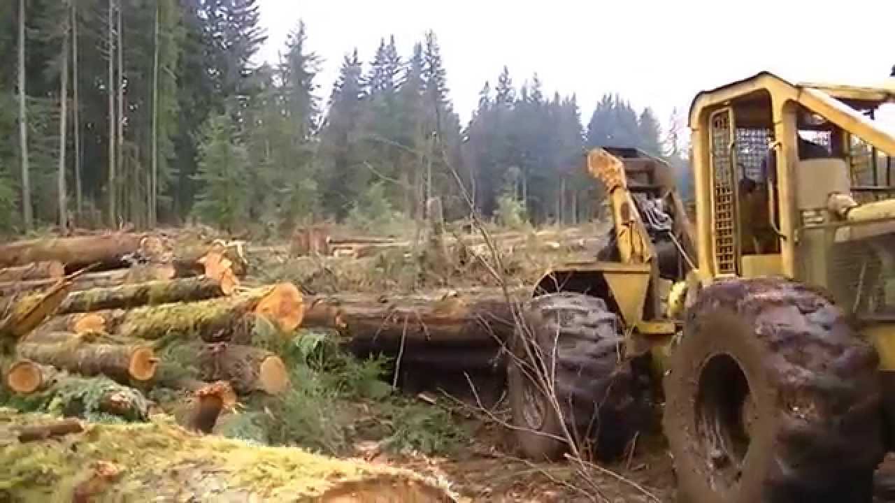 Timber Toter Log Skidder - YouTube