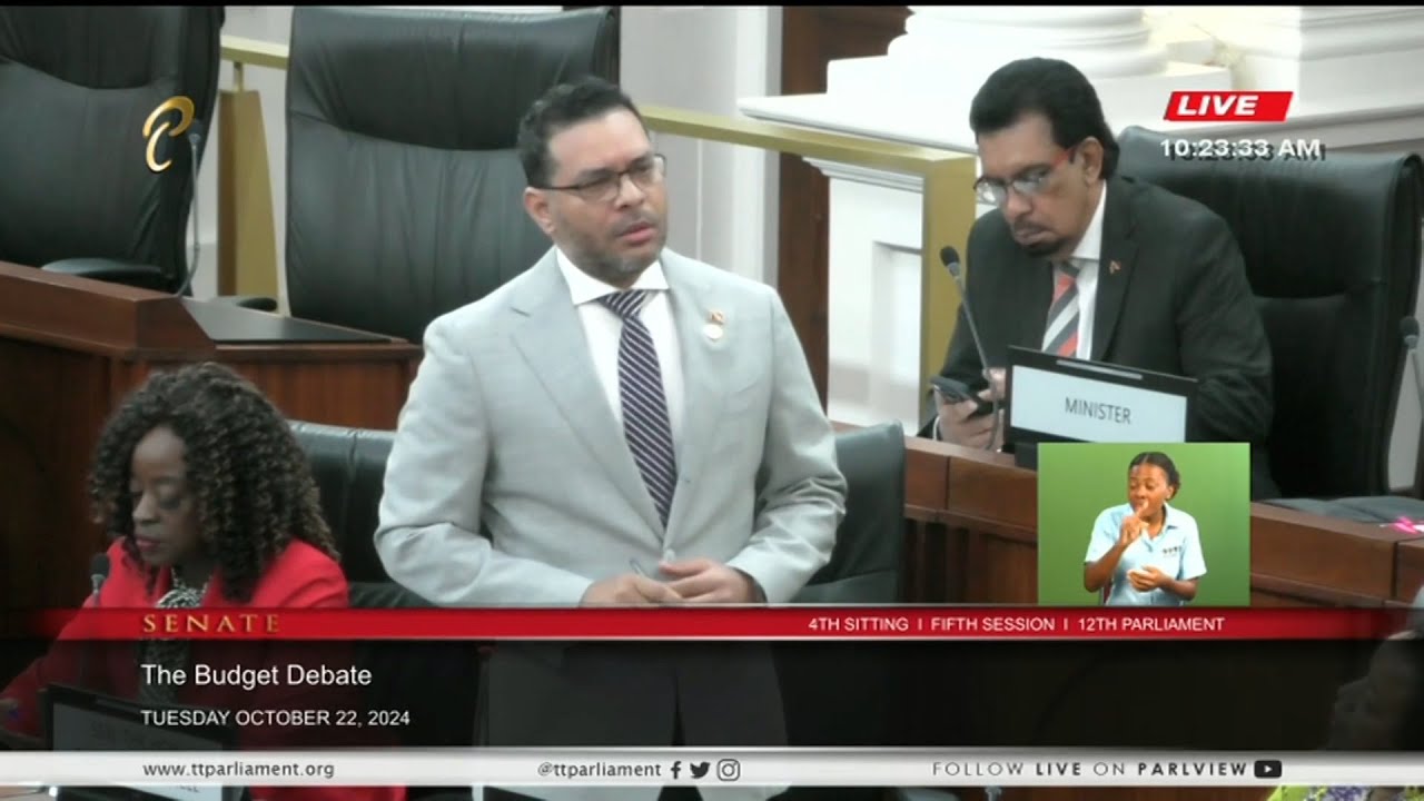 Budget Debate In The Senate - YouTube