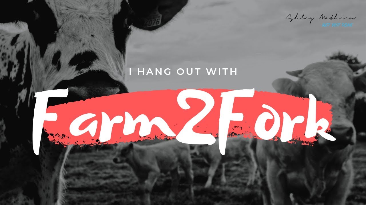 Small biz BIG Impact - Farm2Fork - YouTube