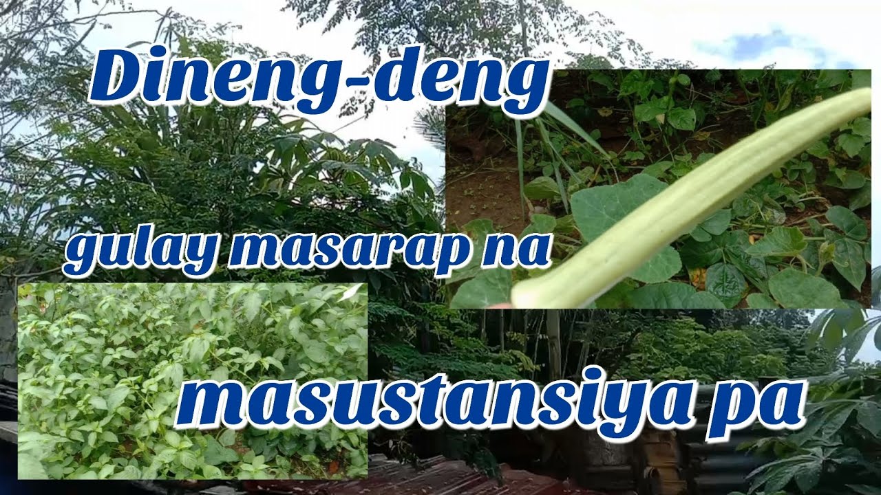 Dineng-deng, recipe for today - YouTube