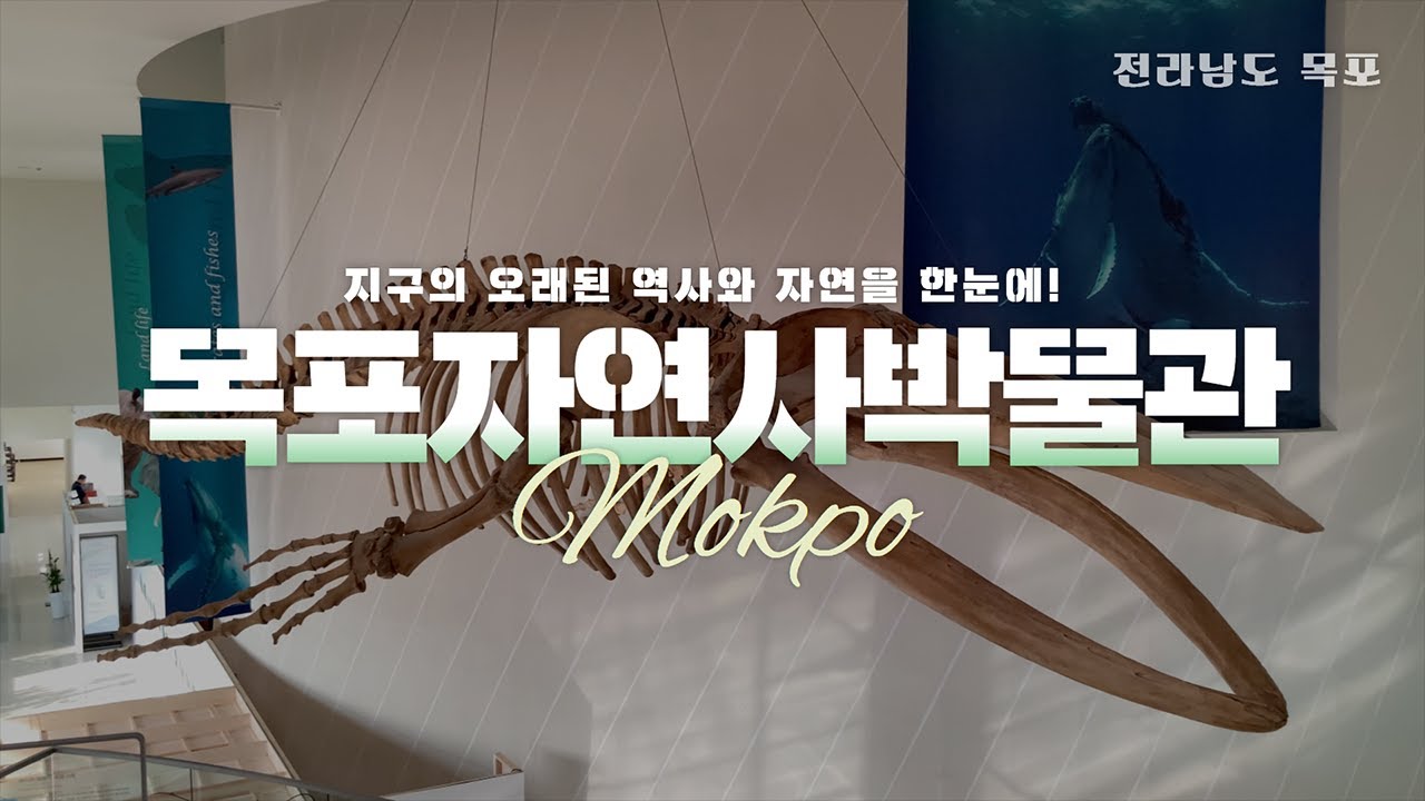 지구의 오래된 역사와 자연을 한눈에 목포자연사박물관 Youtube