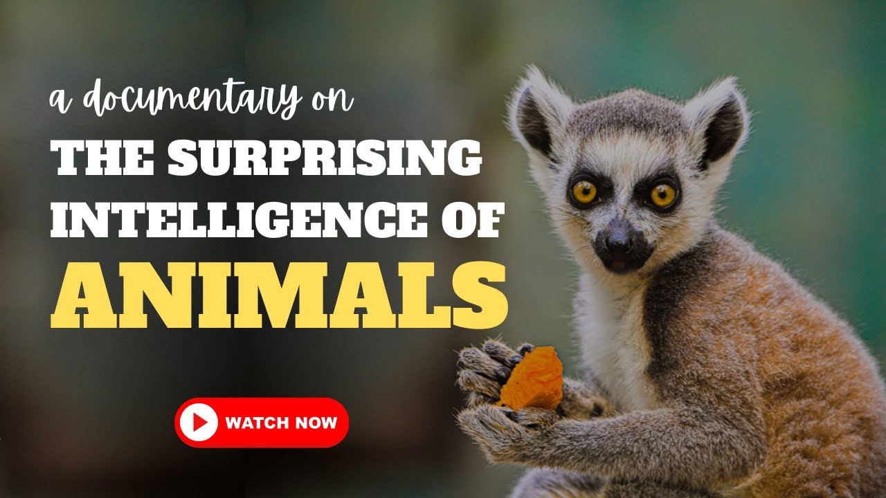 The Surprising Intelligence of Animals - YouTube