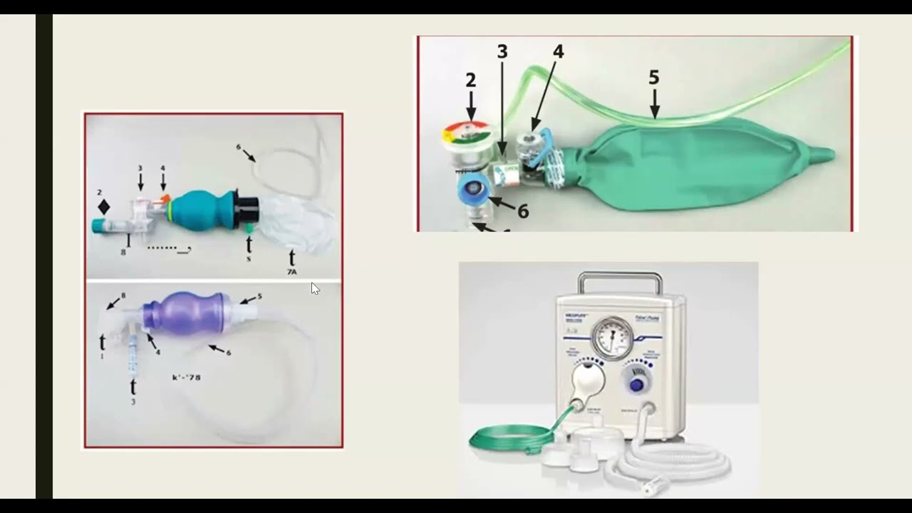Neonatal Resuscitation Guidelines (NRP) 2022 - dr. Hanaa Saeed - YouTube