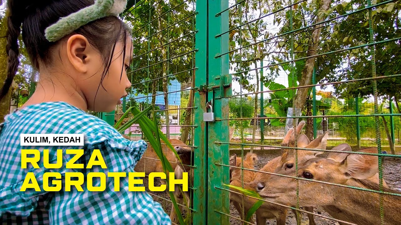 Ruza Agrotech // Kulim, Kedah - YouTube