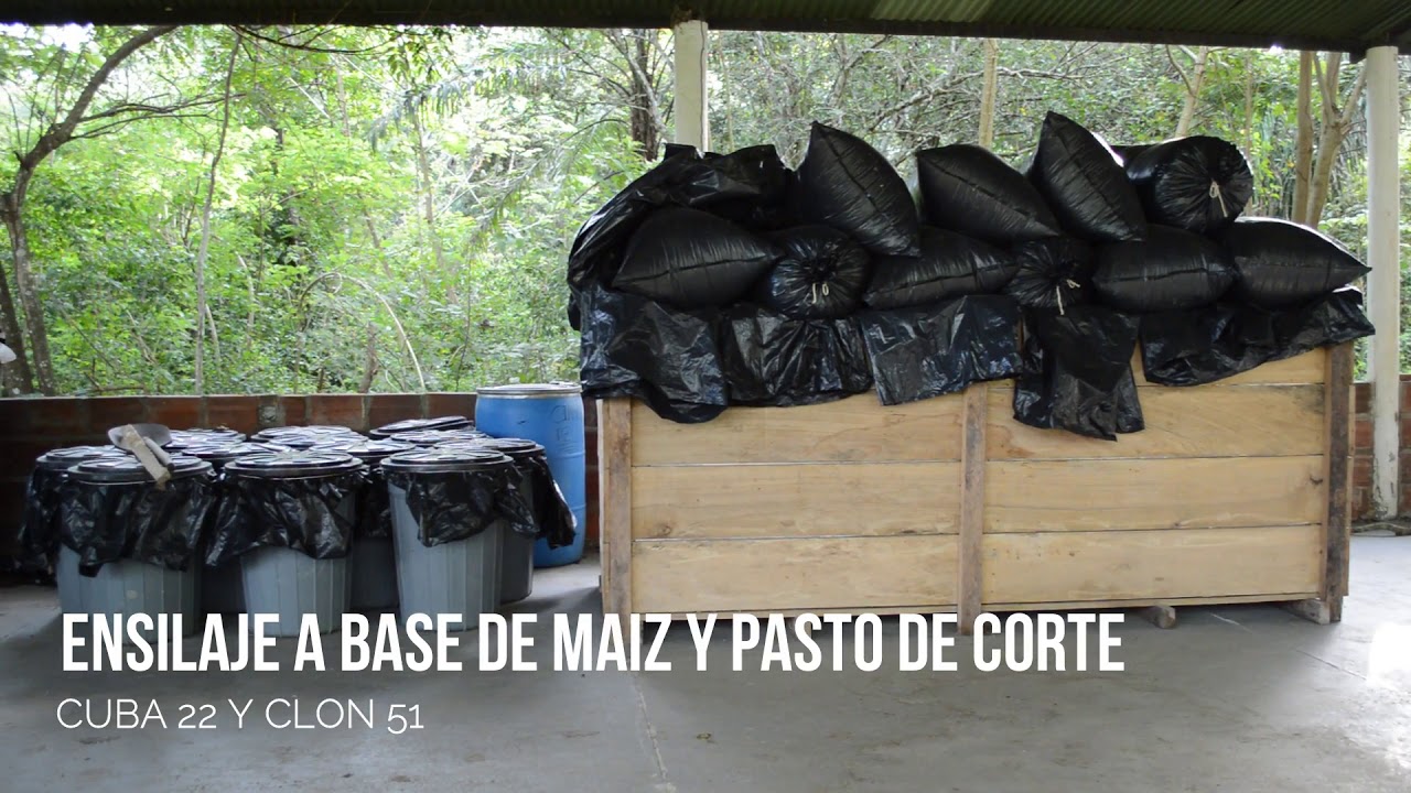 Tutorial 2 Ensilaje - YouTube