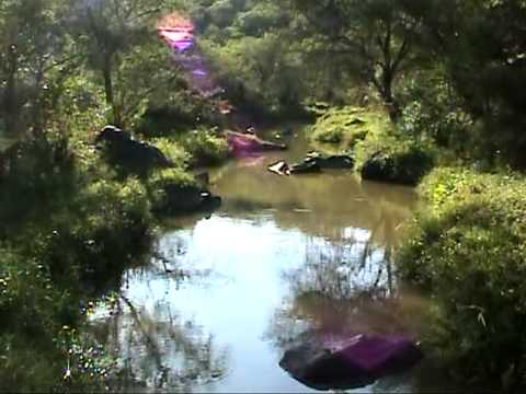 TICUITACO, MICHOACAN PARTE 2 - YouTube