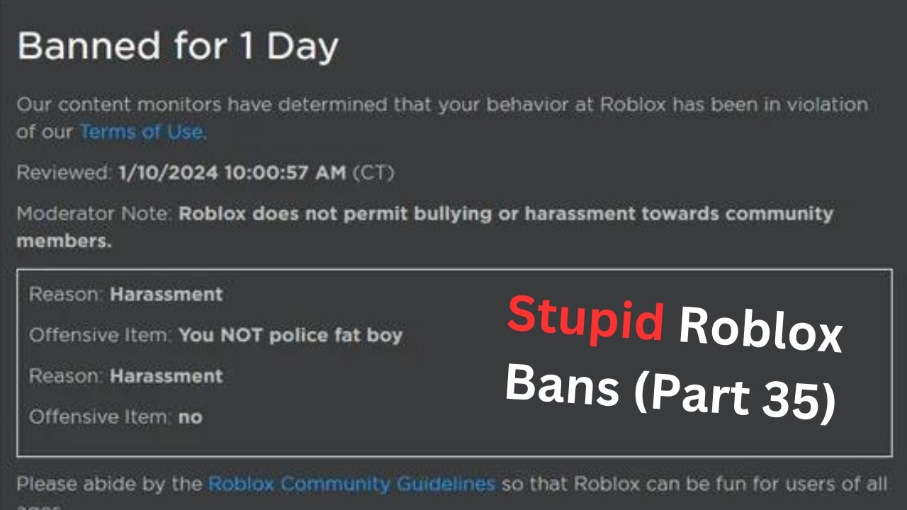 Stupid and Funny Roblox Bans | Part 35 - YouTube