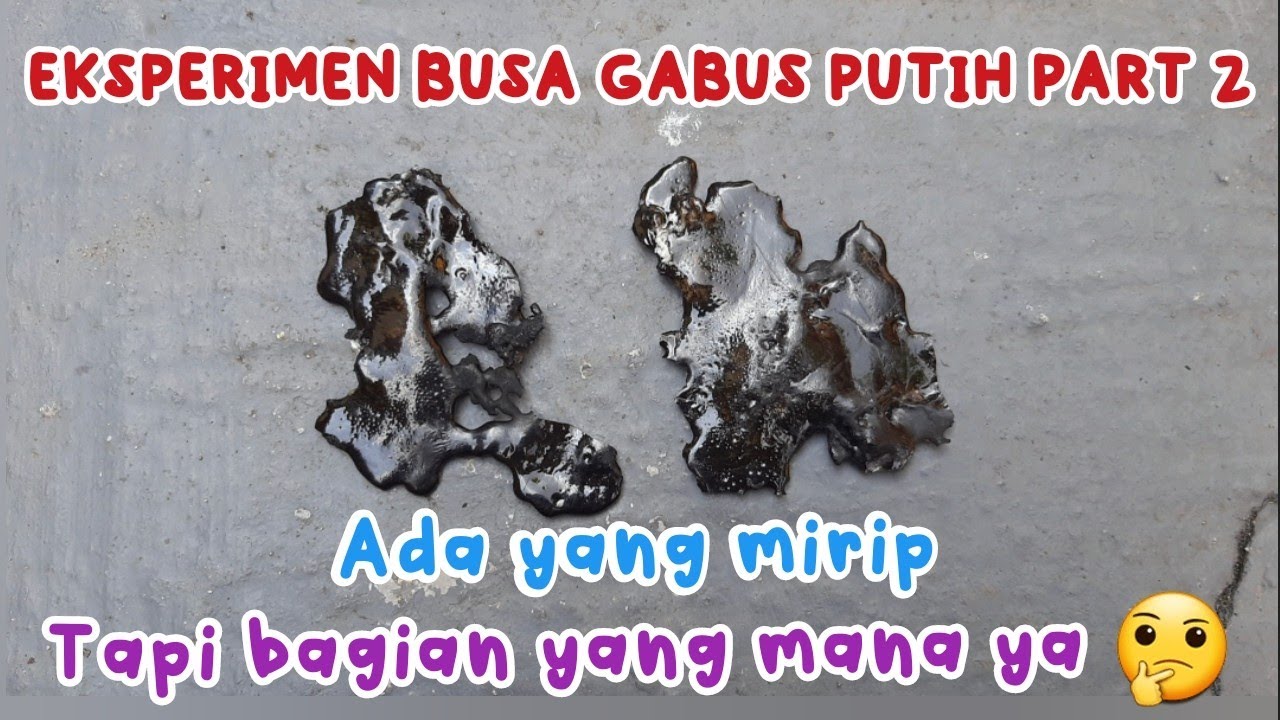 "Eksperimen Busa Gabus Putih Part 2" Ada yang mirip... tapi bagian yang ...