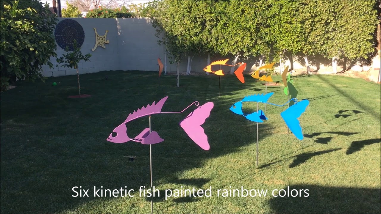 Kinetic Fish - Rainbow Fish Grouping - YouTube