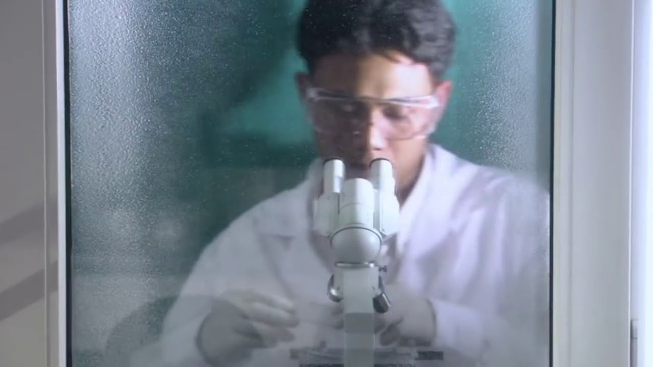 Water Experiment - Water Consciousness by Masaru Emoto - YouTube