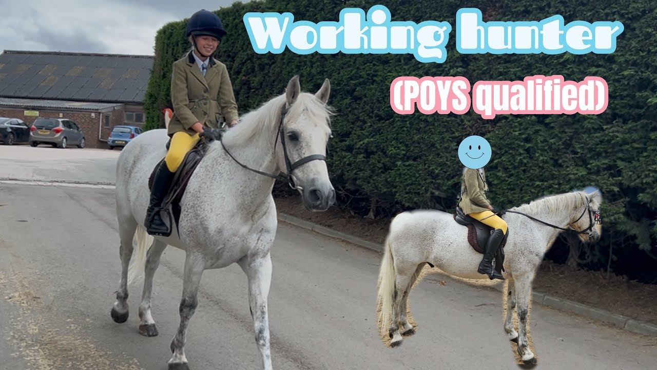 Working hunter (PONY OF THE YEAR SHOW QUALIFIED!!) - YouTube