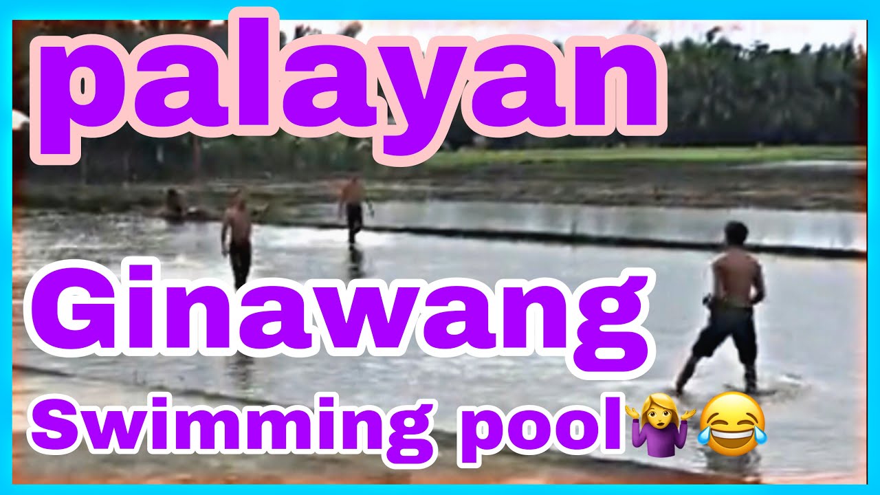 PALAYAN ginawang swimming pool 😂 - YouTube