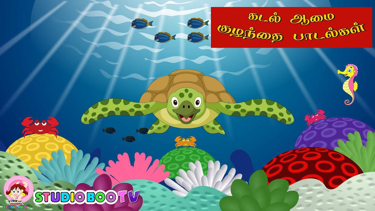 கடல் ஆமை குழந்தை பாடல்கள் | Aamai tamil rhymes for children | tamil ...