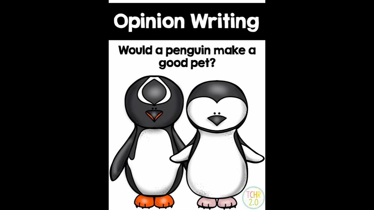 Would a penguin make a good pet? Opinion Writing - YouTube