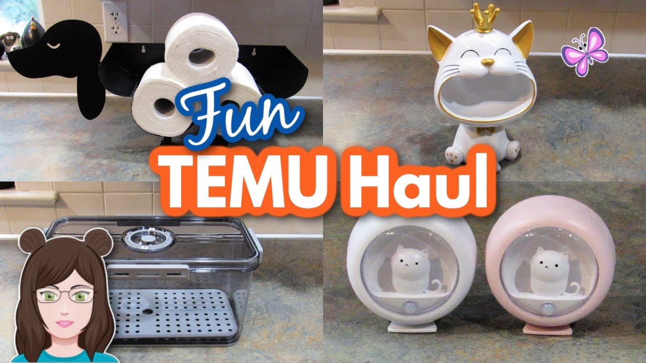 Fun TEMU Haul! Cool New Finds! June 2024 - YouTube