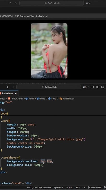 Get PROFESSIONAL Results with CSS Zoom Effect | ReCodeZone0001 - YouTube