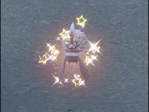 SHINY RUFFLET!? After 8000+ Encounters!! Pokemon Scarlet & Violet - YouTube