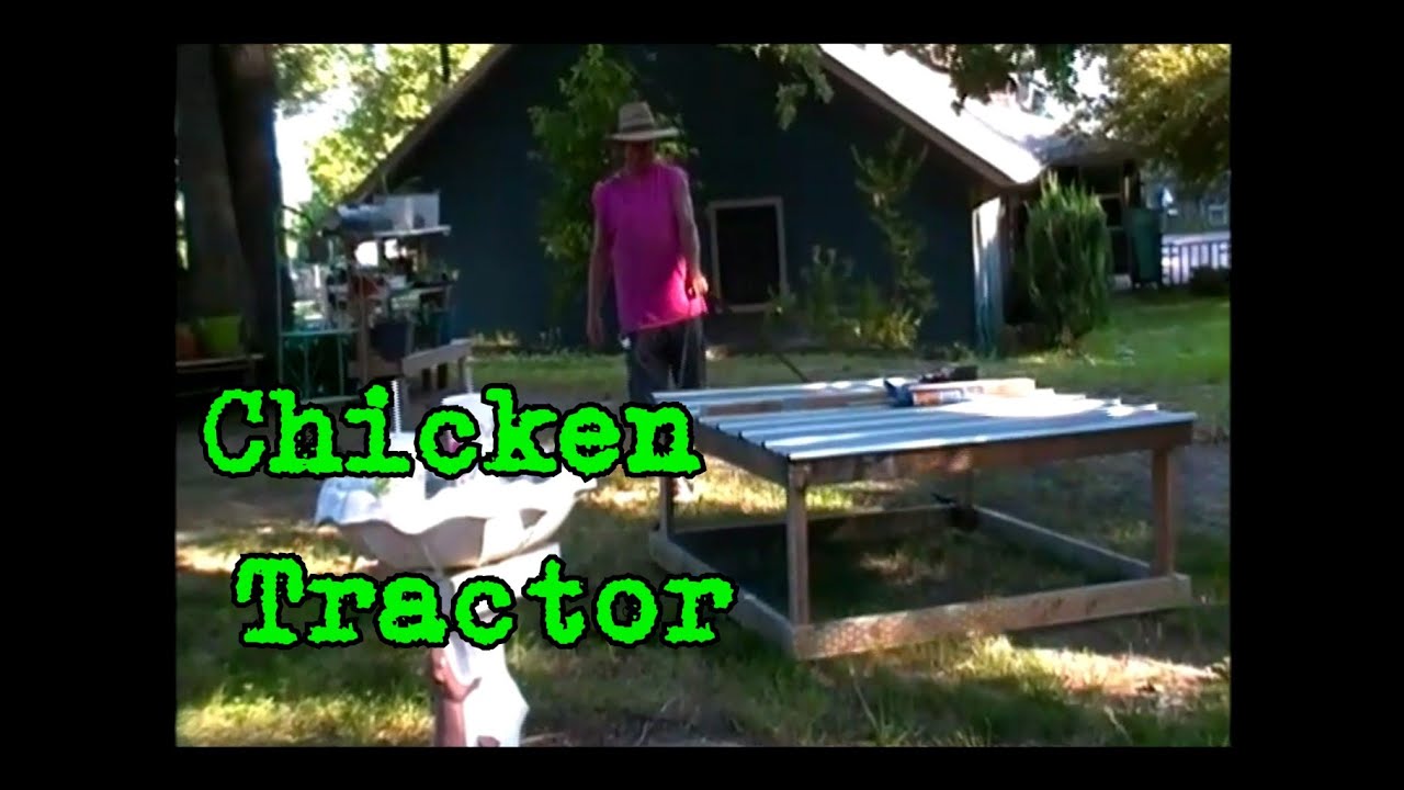 DIY Chicken Tractor / Chicken Tractor For Meat Birds - YouTube