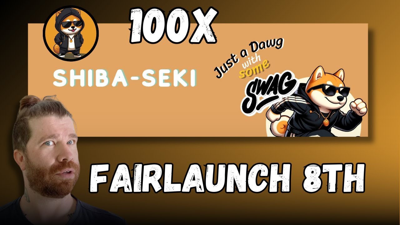 Shiba Seki Upcoming 100x Potential Memecoin Youtube