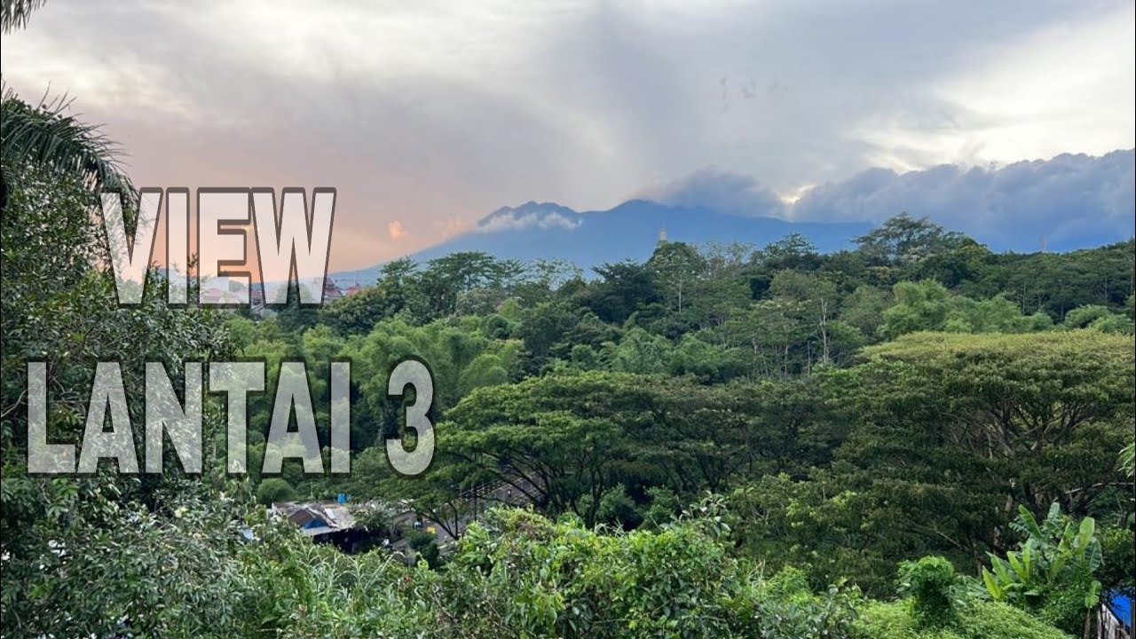 Homestay Murah dan bersih di tengah kota Malang Tree Homestay Malang ...