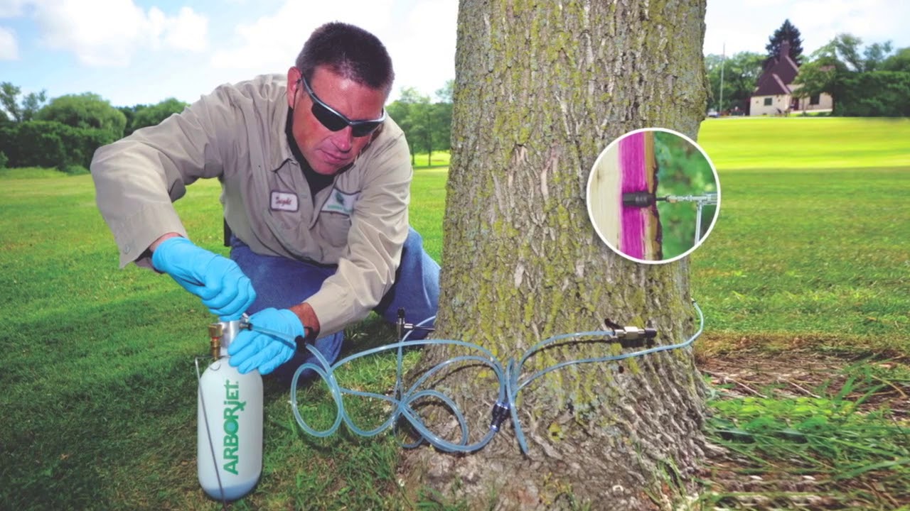 Arborjet® Tree Injection Services | Green Sphere Turf, Tree & Tick # ...