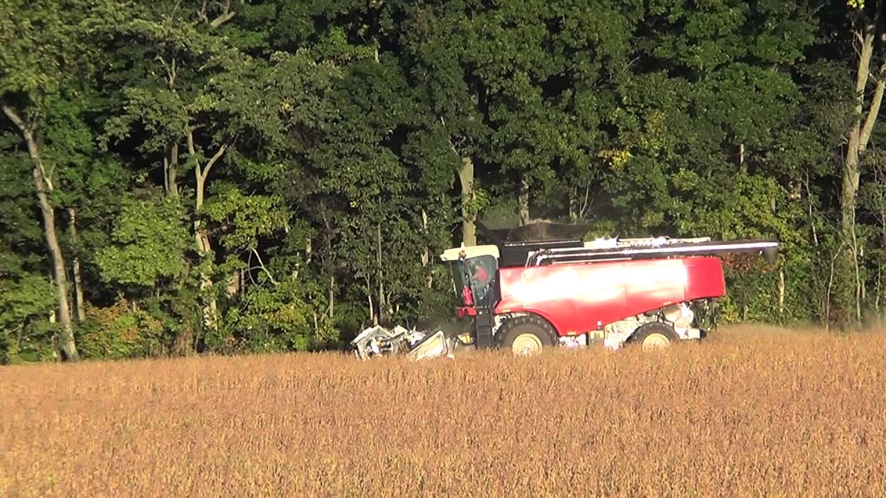 Soybean Harvest with a Versatile RT490 & Case IH 9120 in the same field ...
