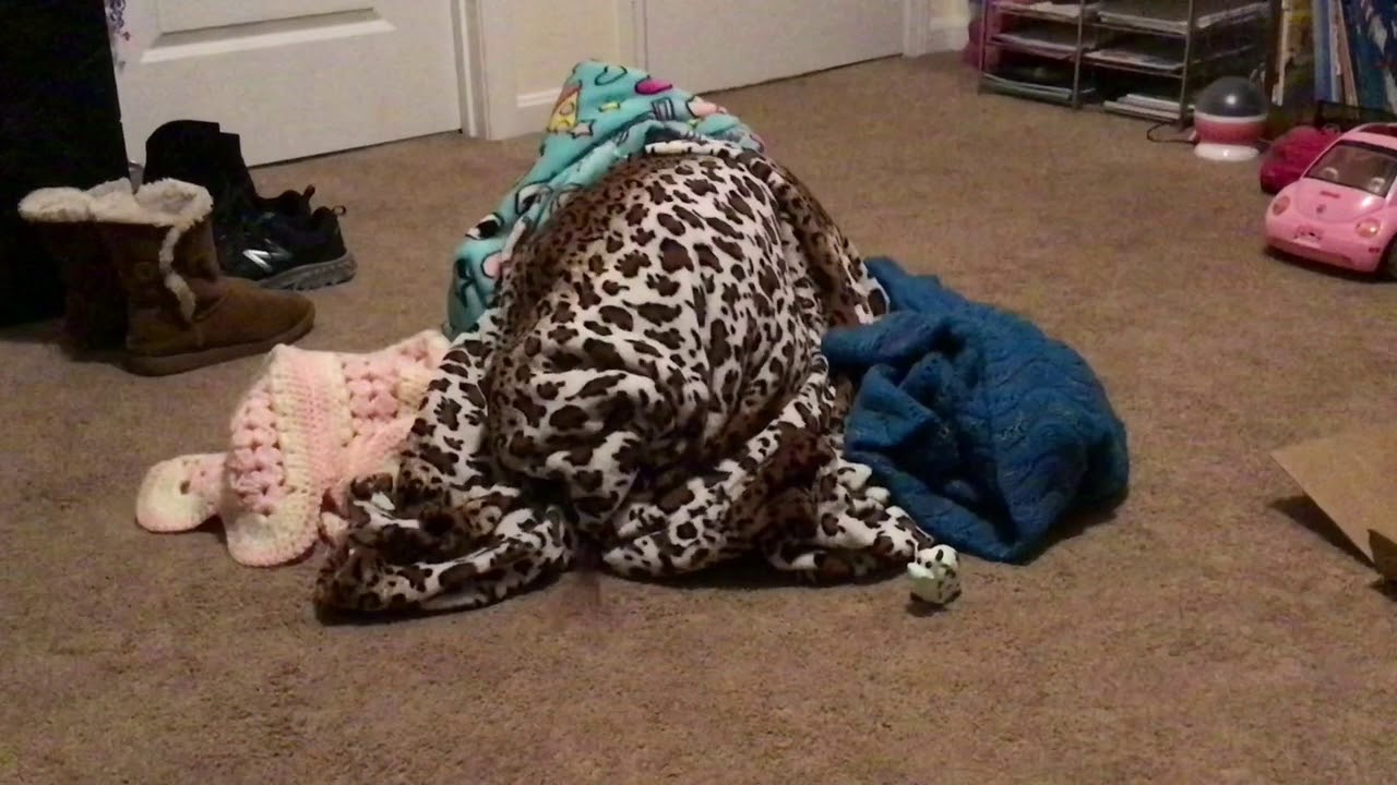 The most random video ever to exist - YouTube