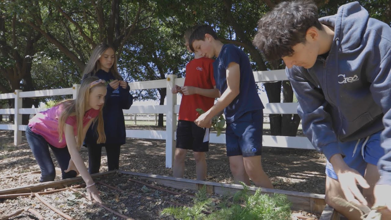 Explore Exciting Elective Courses at Creo Farm School. - YouTube