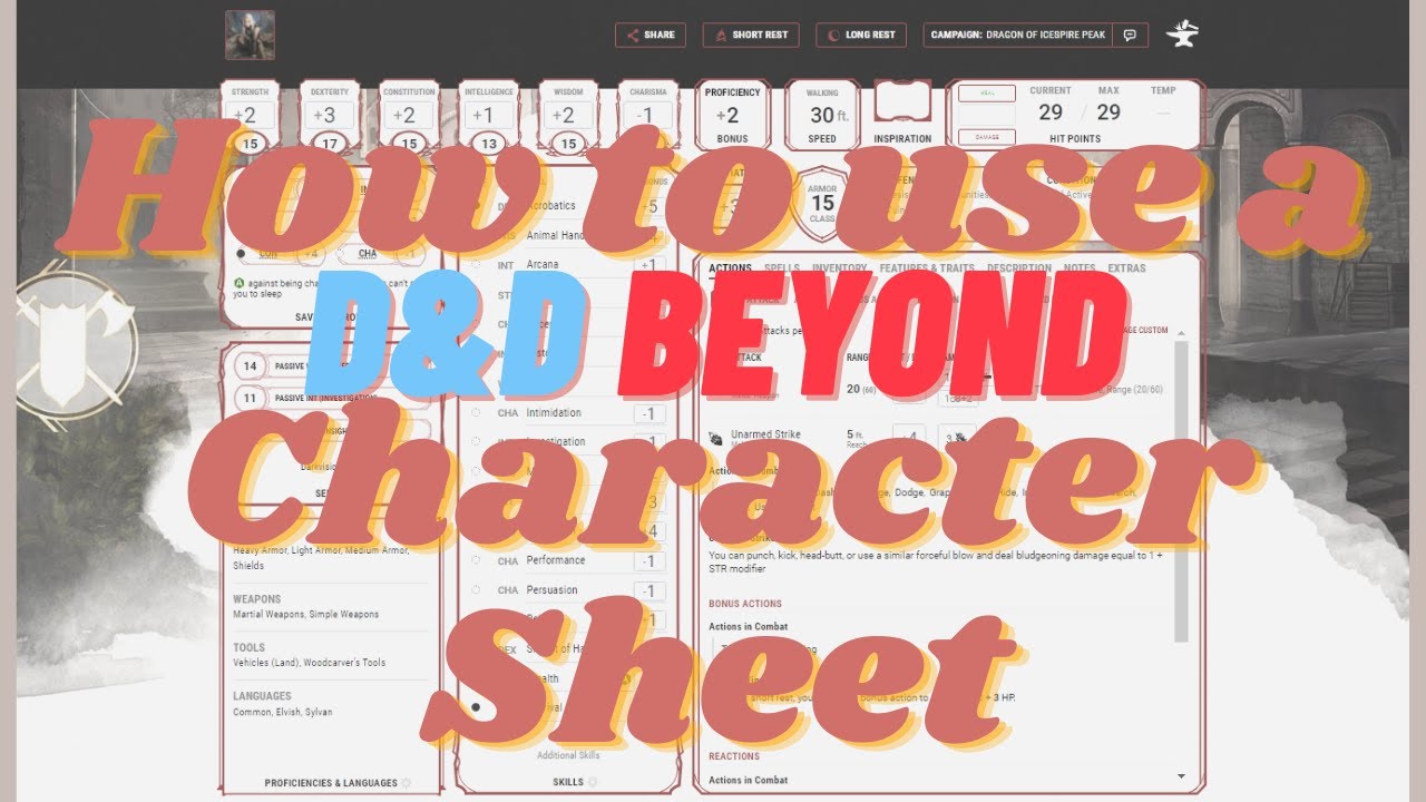 DND Beyond Character Sheet Tutorial for New Players - YouTube