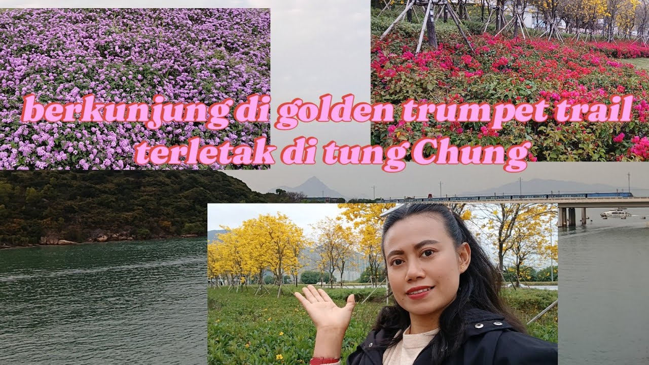 Berkunjung di golden trumpet trail tung cung hong kong #tkwhongkong # ...