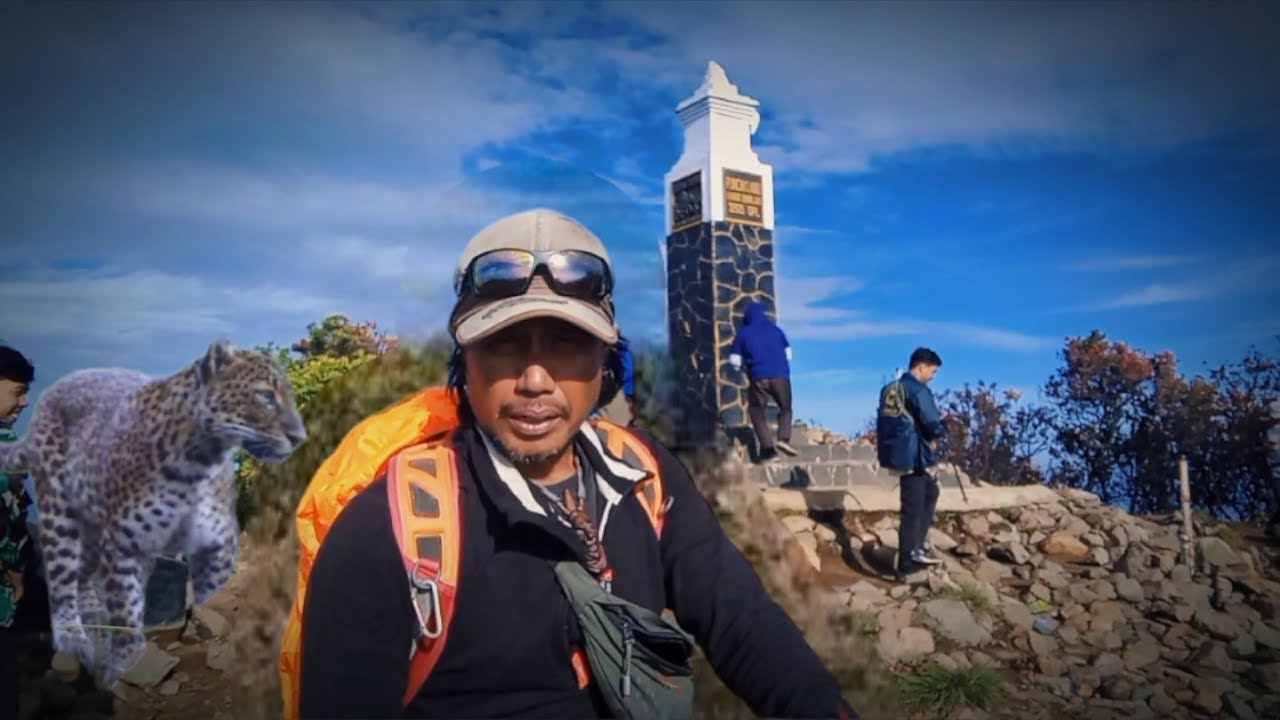 Gunung lawu habitat macan tutul jawa - YouTube