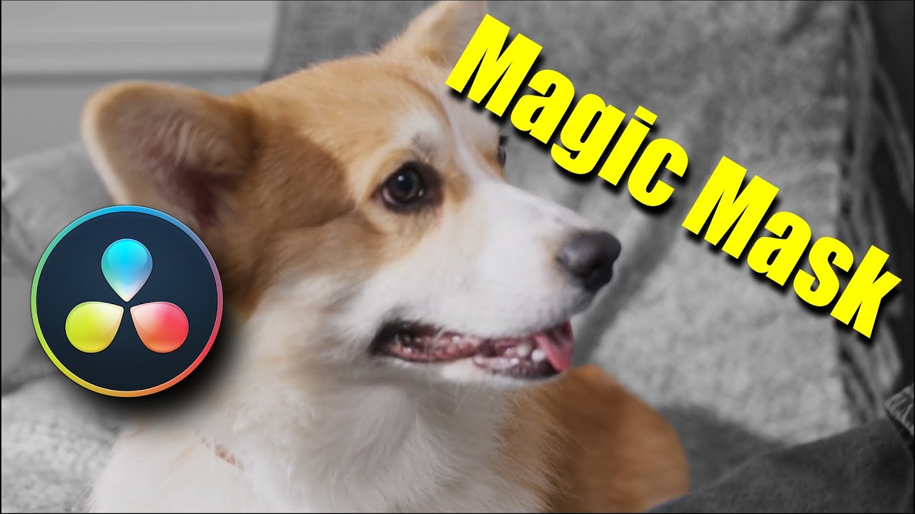 Magic Mask in DaVinci Resolve Studio - YouTube