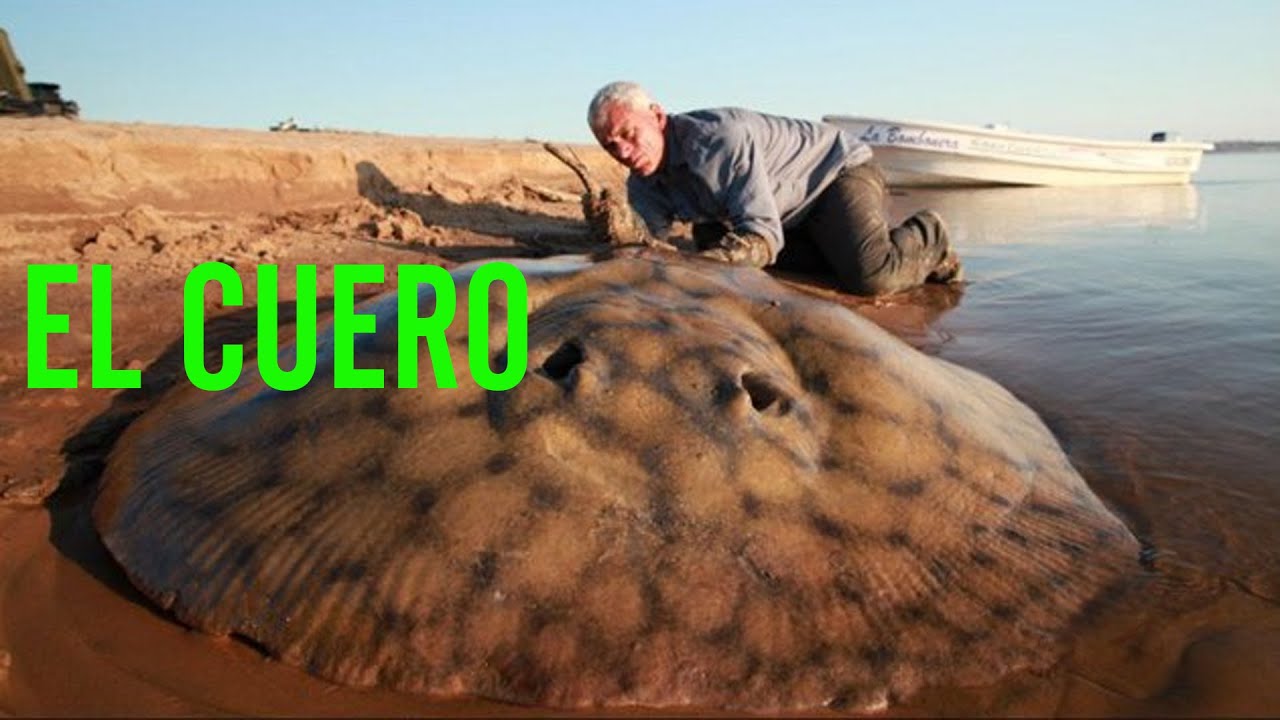 El Enigma del Cuero: El Monstruo de los Lagos de Argentina y Chile ...