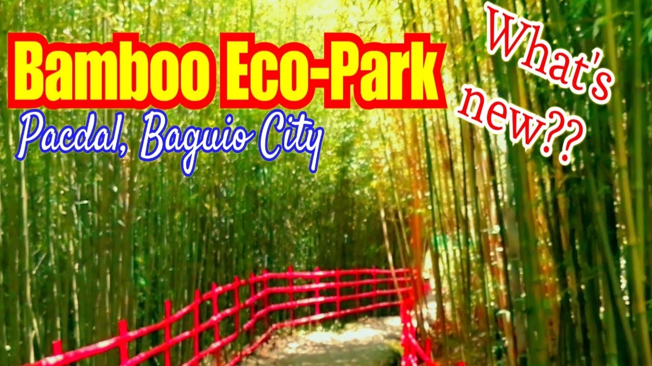 Morning Leisure Visit to BAGUIO BAMBOO ECO-PARK | Liteng, Pacdal - YouTube