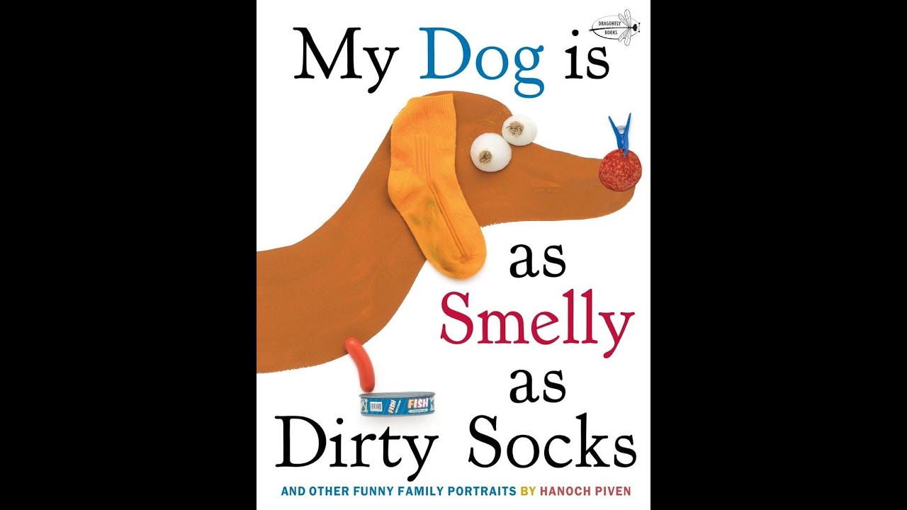 My Dog Is As Smelly As Dirty Socks | Stories for kids - YouTube