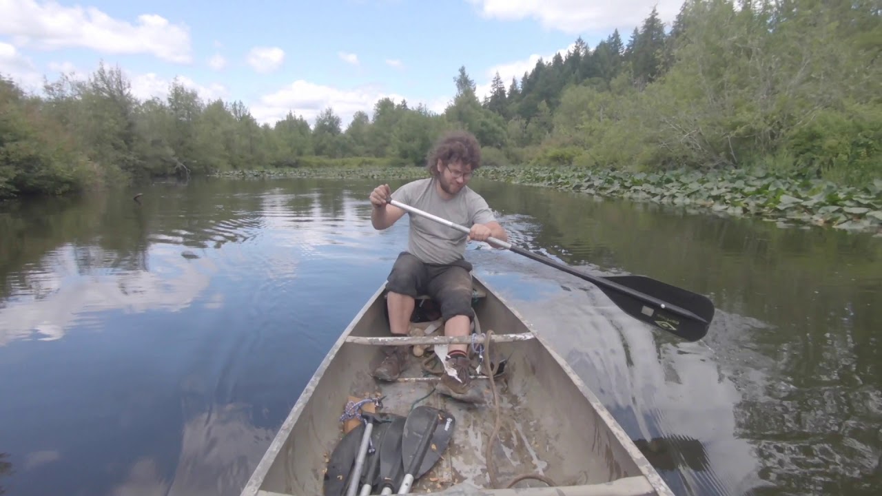Wynoochee & Black River Canoe rambles, Washington state rivers - YouTube