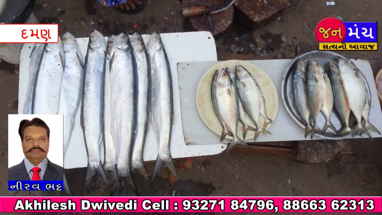 Daman Fish Market - YouTube