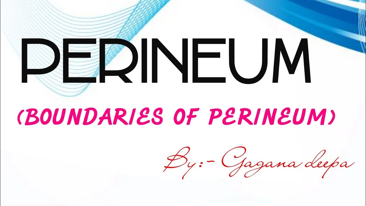 Boundaries of perineum - YouTube