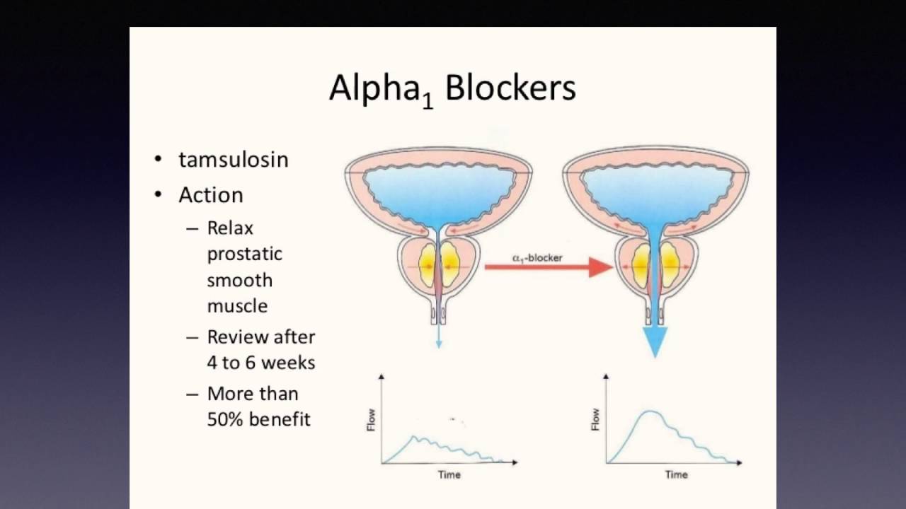 MALE REPR TREATMENT CS14-M2-S4-U2 - YouTube