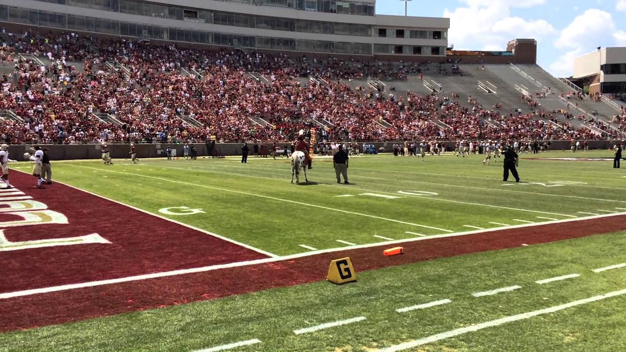 Florida State University Seminoles Spring Football game 2014 Garnet vs ...