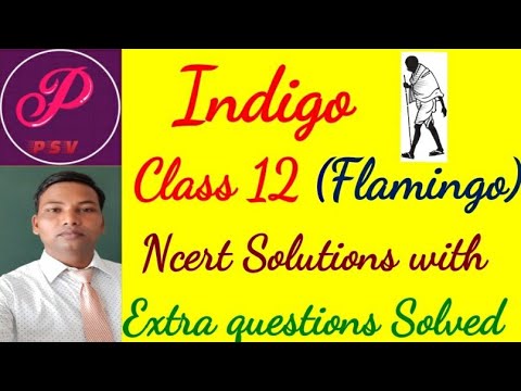 NCERT solution class 12th Indigo|Solution of every question from text ...