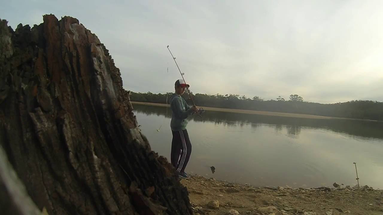 Warren Fishing SA (redfin, sliver perch, Carp) - YouTube